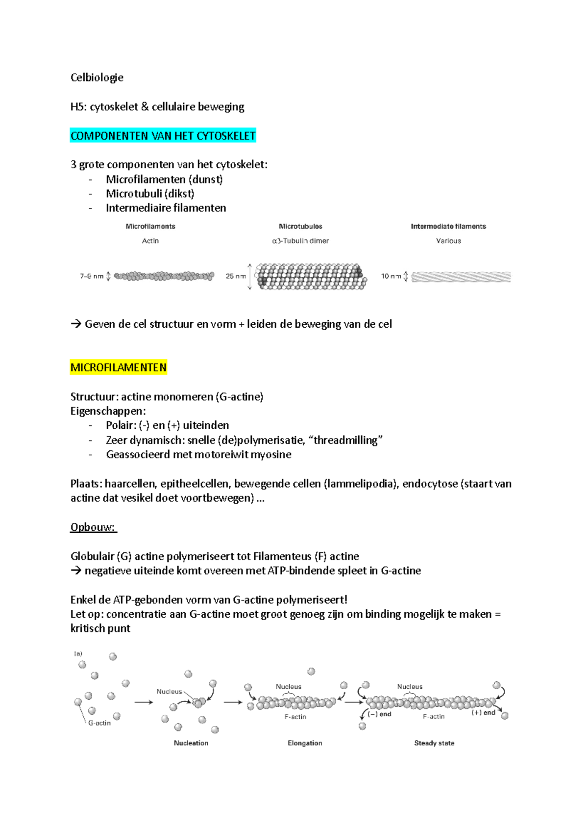 Celbiologie H5 cytoskelet en cellulaire beweging - Celbiologie H5 ...