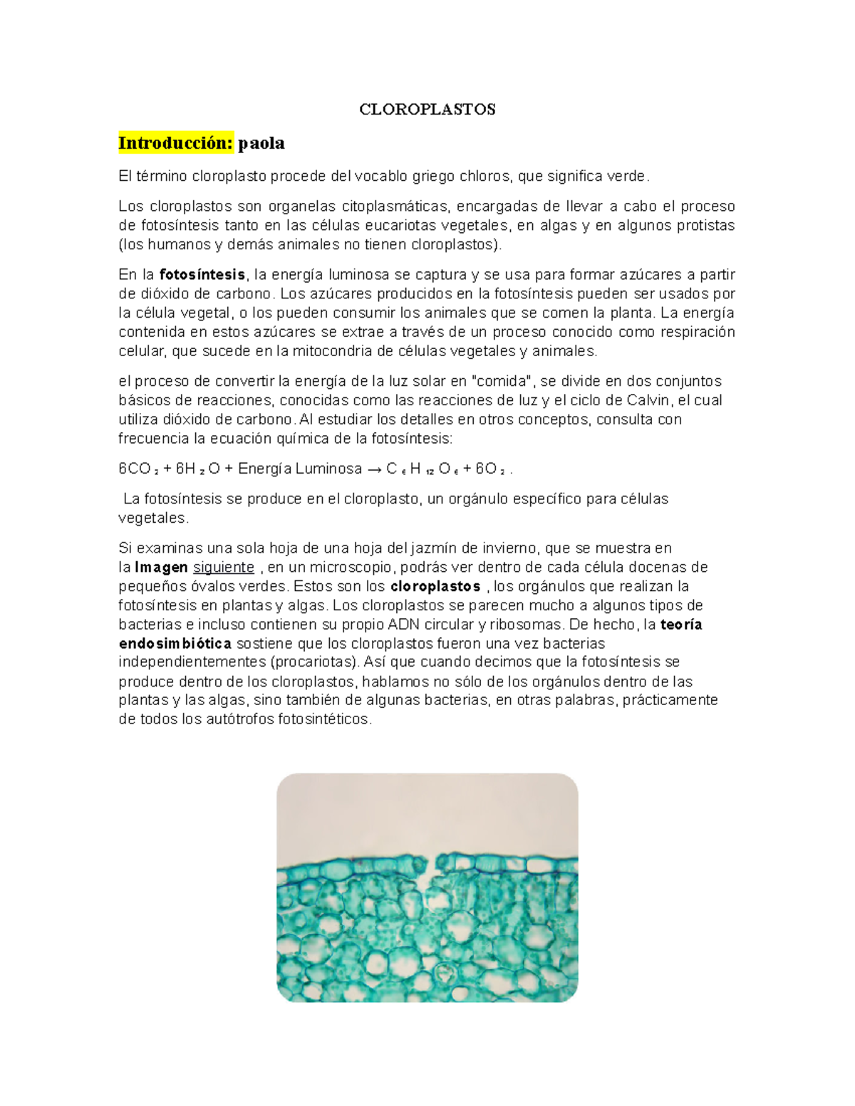 Cloroplastos 3 - CLOROPLASTOS Introducción: paola El término ...