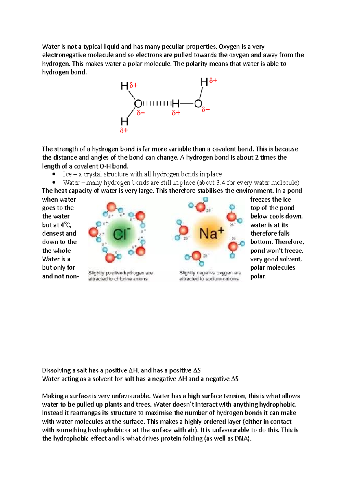Water, Acid, Bases and Buffers Lecture Notes - Water is not a typical ...