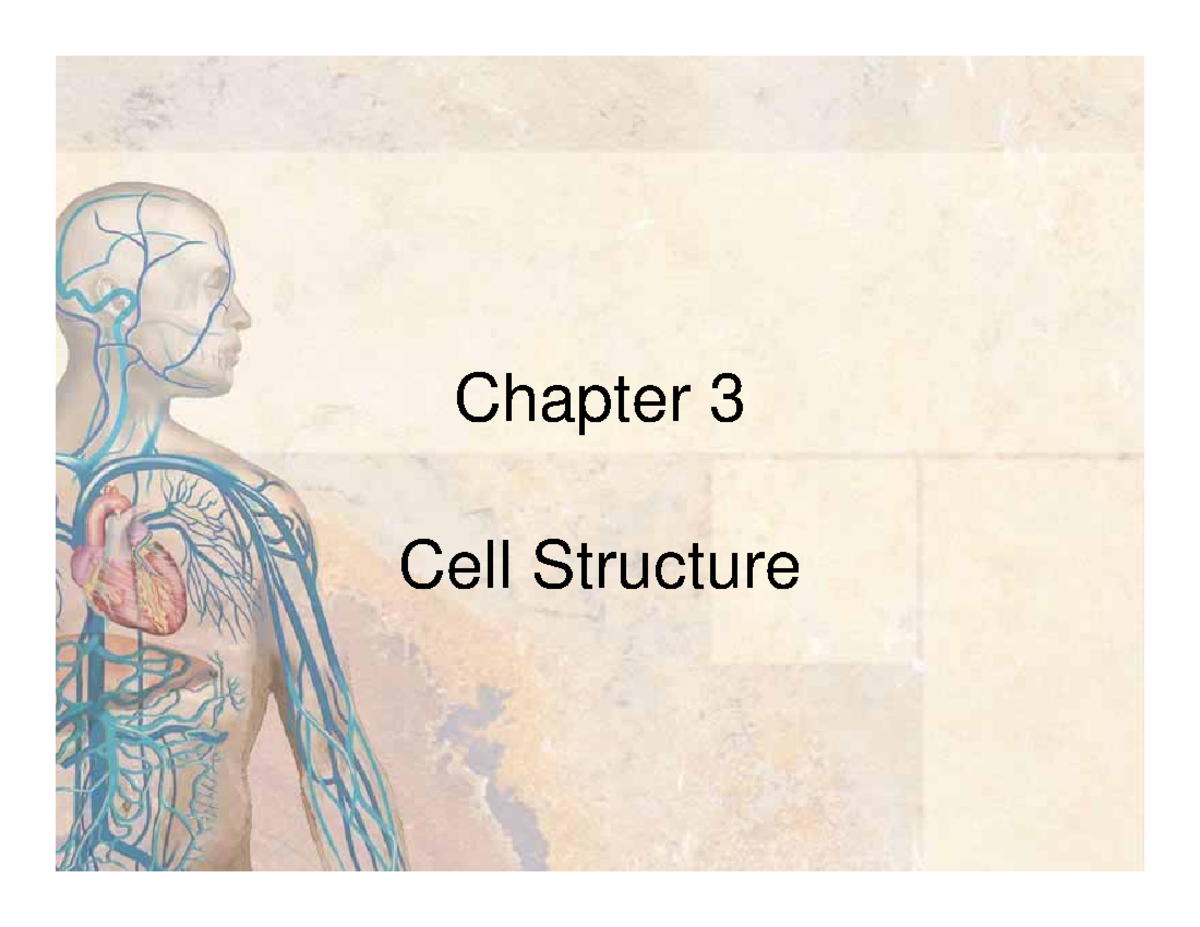 Chapter-3 - Neuro anatomy - Chapter 3 Cell Structure Introduction The ...