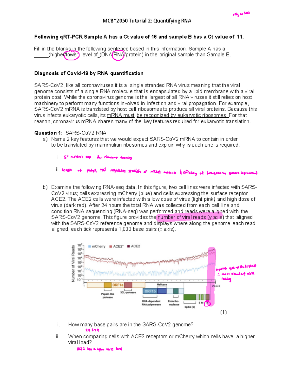 Seminar 2 - MCB*2050 Tutorial 2 : Quantifying RNA Following qRT-PCR Sample A has a Ct value of ...