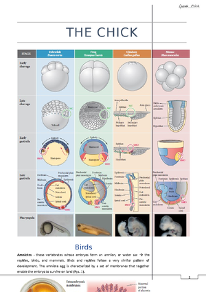 Colorectal Examination - RIGID PROCTOSIGMOIDOSCOPY Pages with reference ...