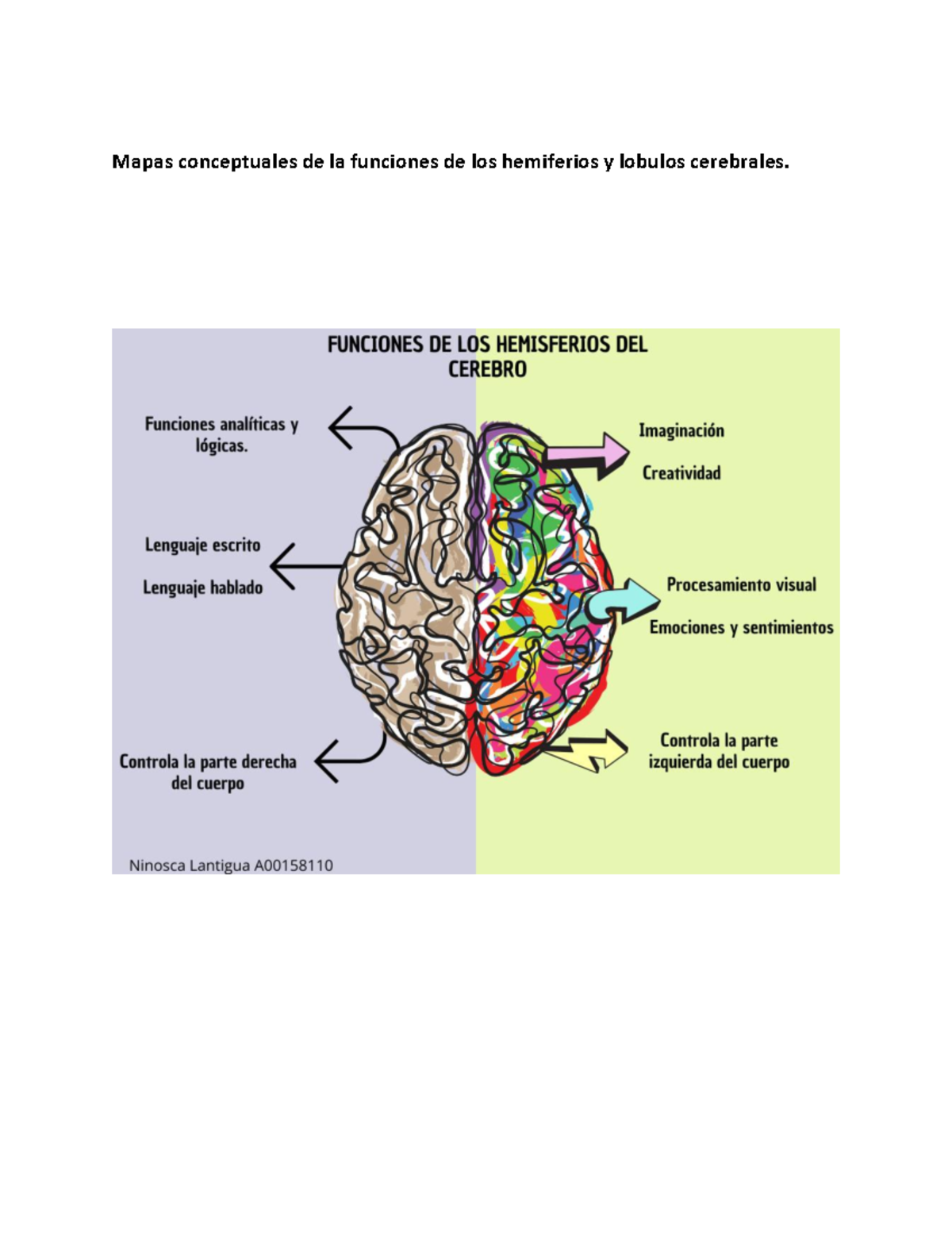 Lantigua Ninosca Mapas conceptuales de la funciones de los hemiferios y ...