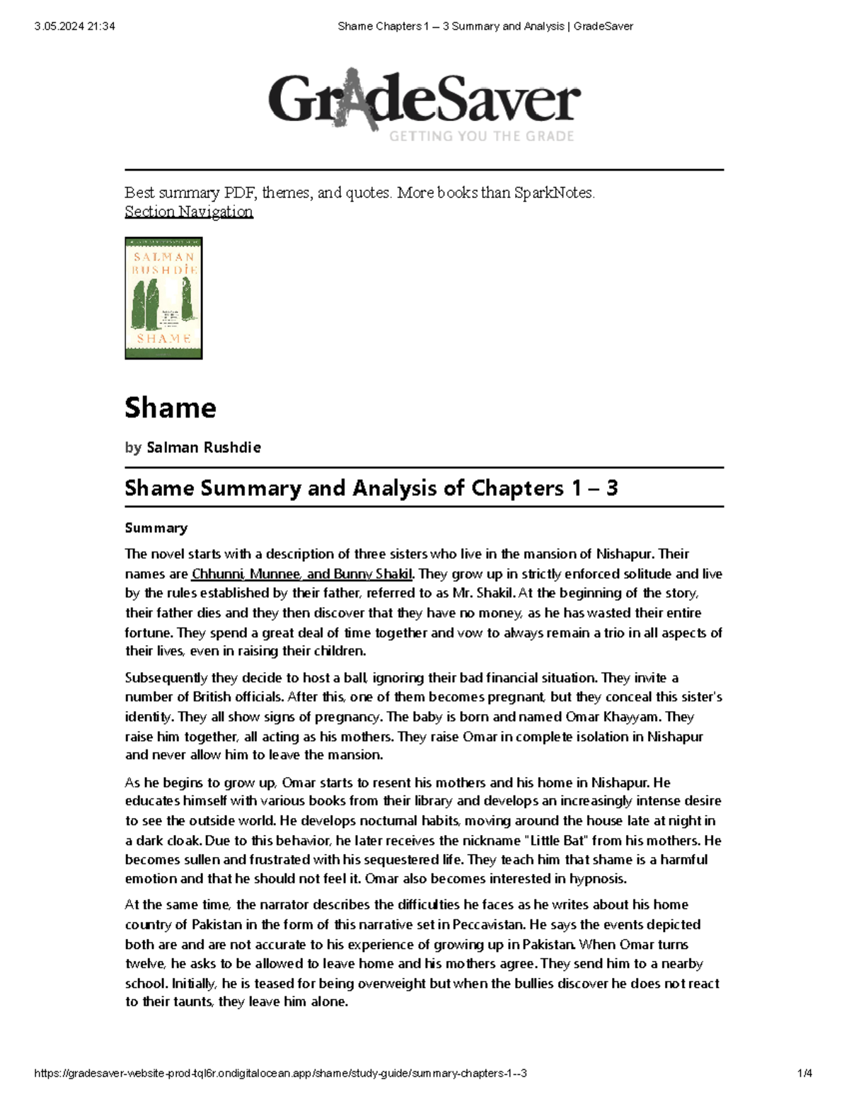 Shame Chapters 1 – 3 Summary and Analysis Grade Saver - Best summary ...