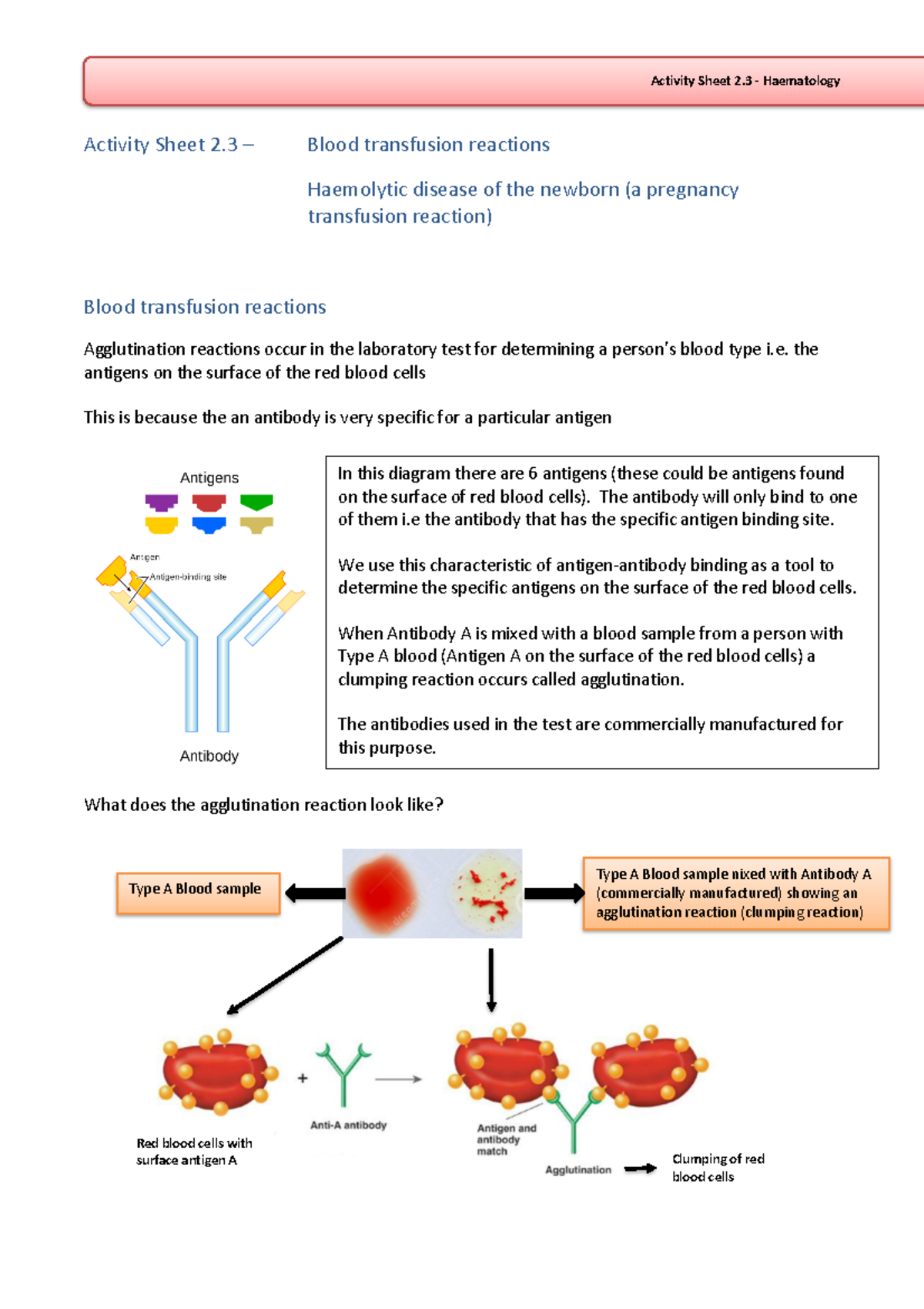Activity Sheet 2.3 Transfusions - Activity Sheet 2 Haematology Activity ...