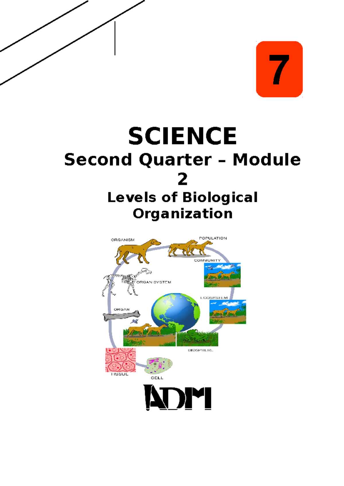 Science 7 Q2 M2 v2 - grade7 biological levels of organization - SCIENCE ...