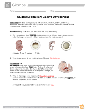Gizmo-Building DNA - Name: Date: Student Exploration: Building DNA ...