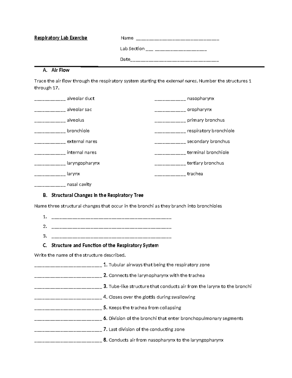 Respiratory+Lab+Worksheet 2021 - Respiratory Lab Exercise Name