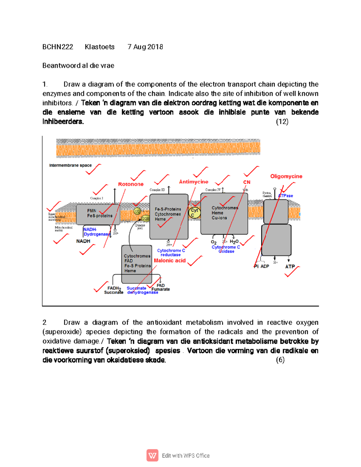 Biochemistry p3 - Previous exam paper - BCHN 222 Klastoets 7 Aug 2018 ...