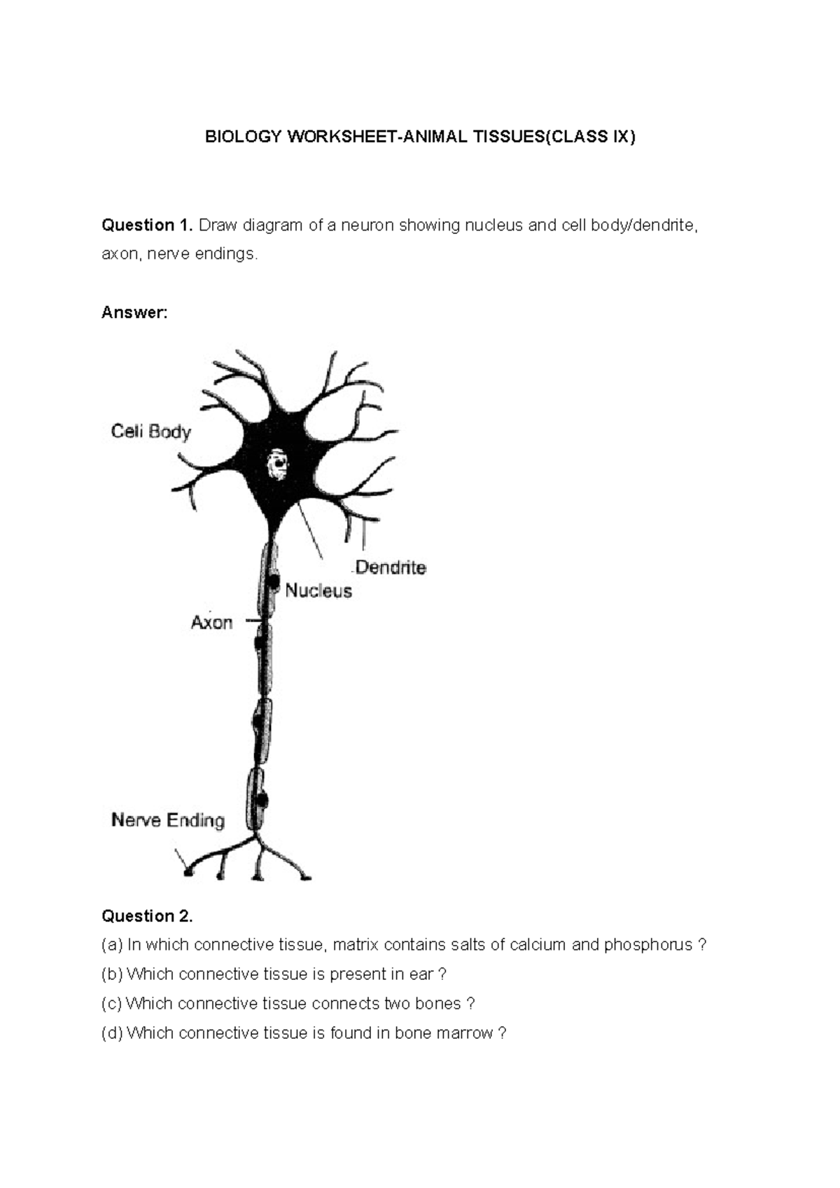 Biology Worksheet- Animal Tissues(Launch Pad 1) - BIOLOGY WORKSHEET ...