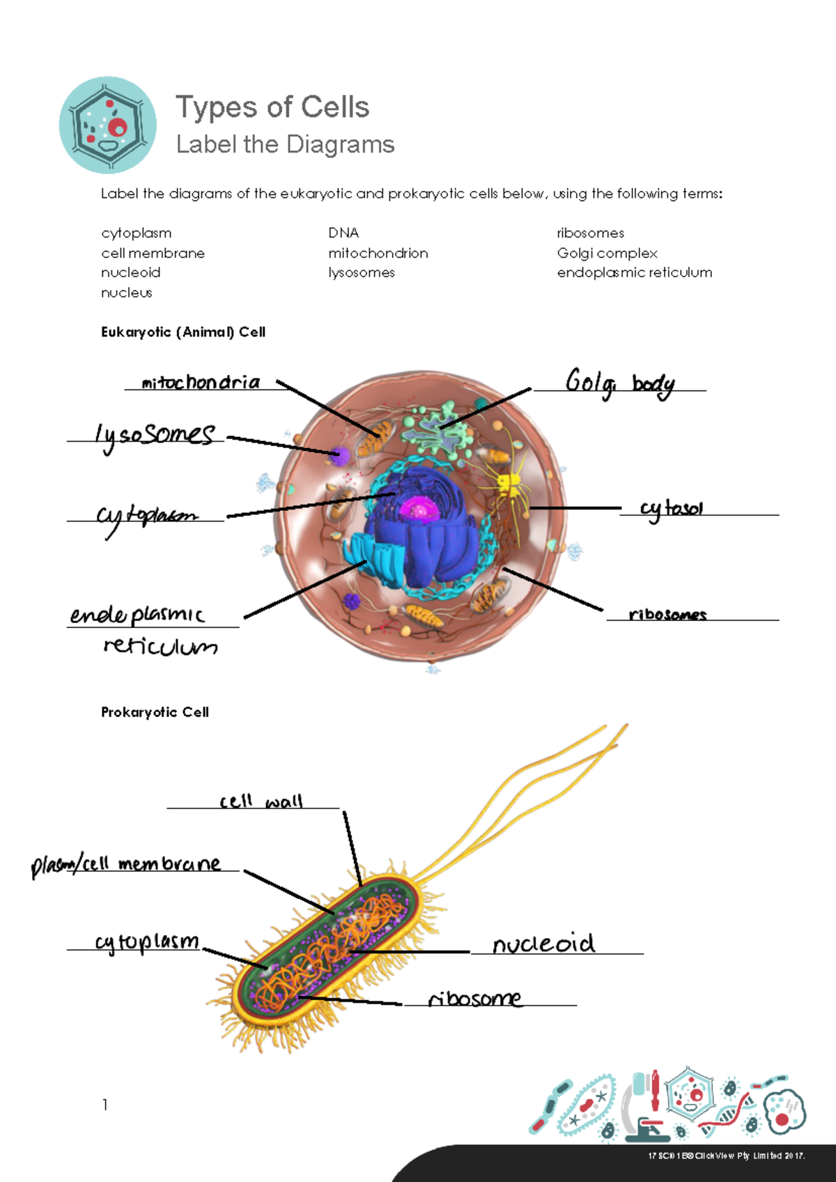 1.2 Types of cells Diagrams - 1 Types of Cells Label the Diagrams ...