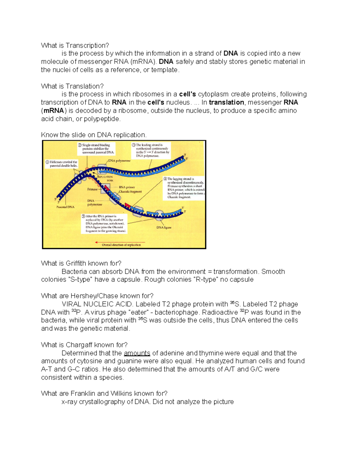 Last review - Transcription and Translation - What is Transcription? is ...