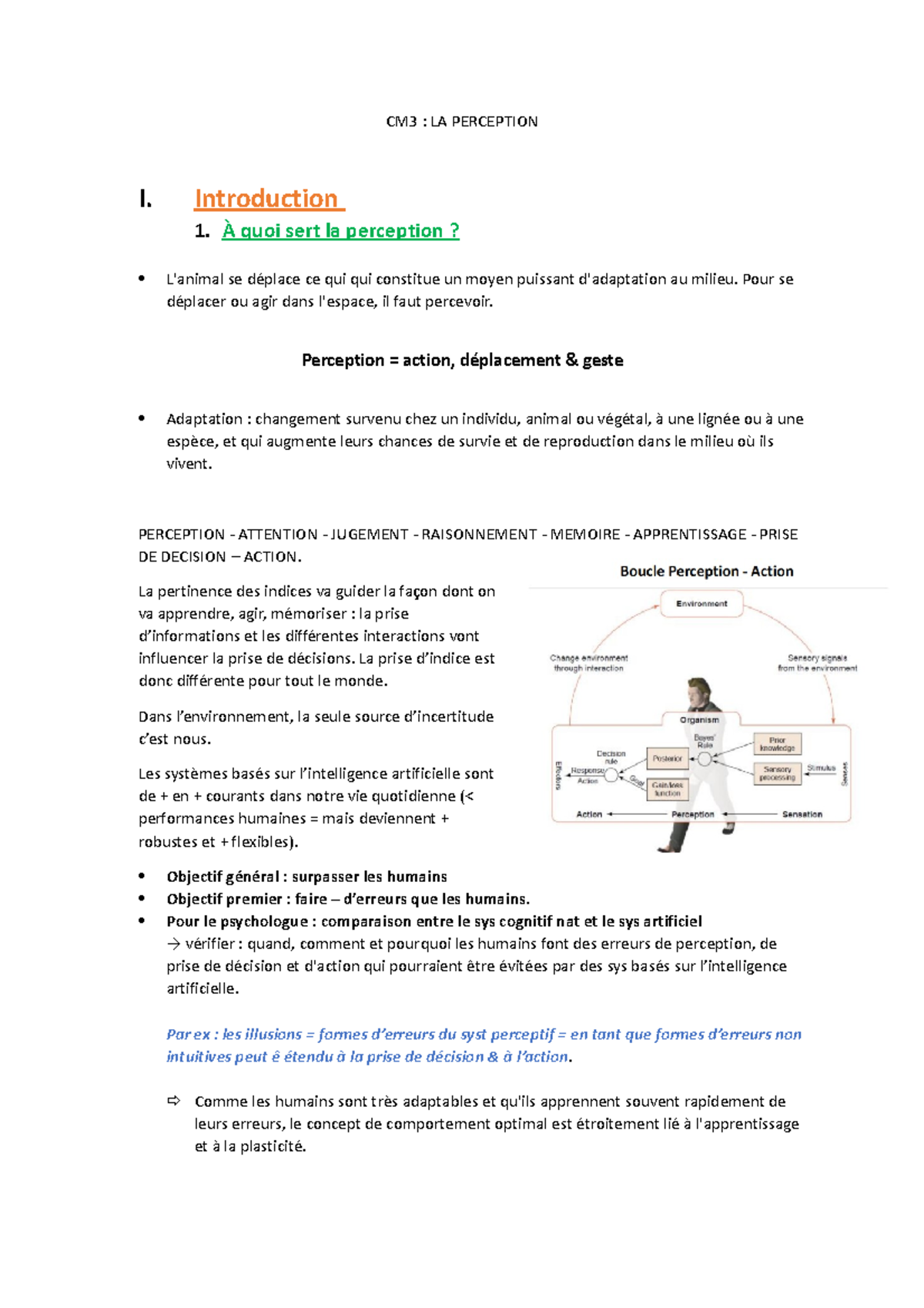 CM3 Perception (Partie 1) - CM3 : LA PERCEPTION I. Introduction 1. À ...