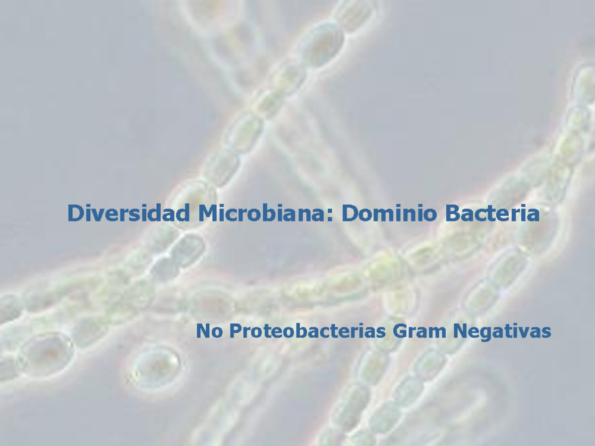 Diapositivas - No Proteobacterias Gram Negativas - Diversidad ...