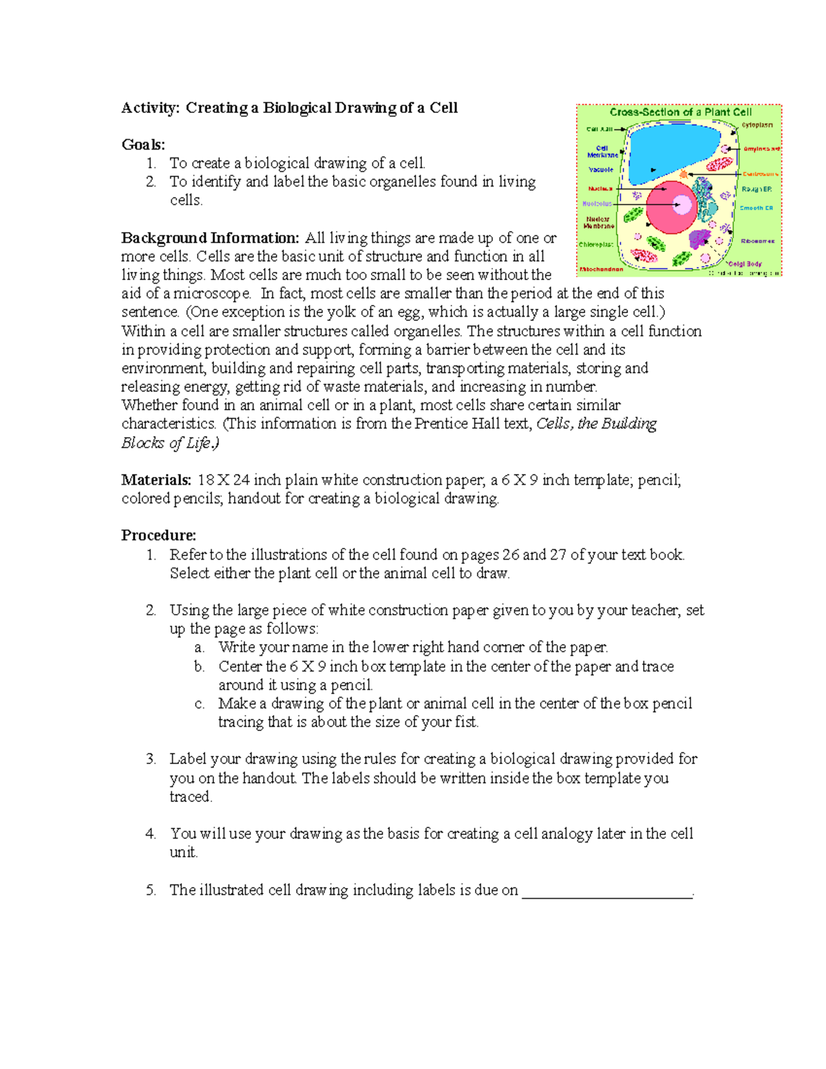Creating a Biological Drawing of a Cell - Activity: Creating a ...