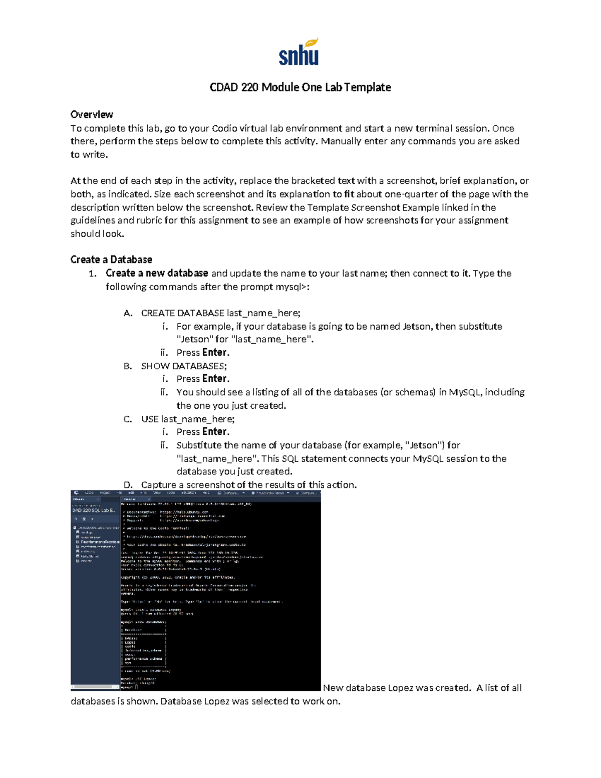 DAD 220 Module One Lab Template-Lopez - CDAD 220 Module One Lab ...