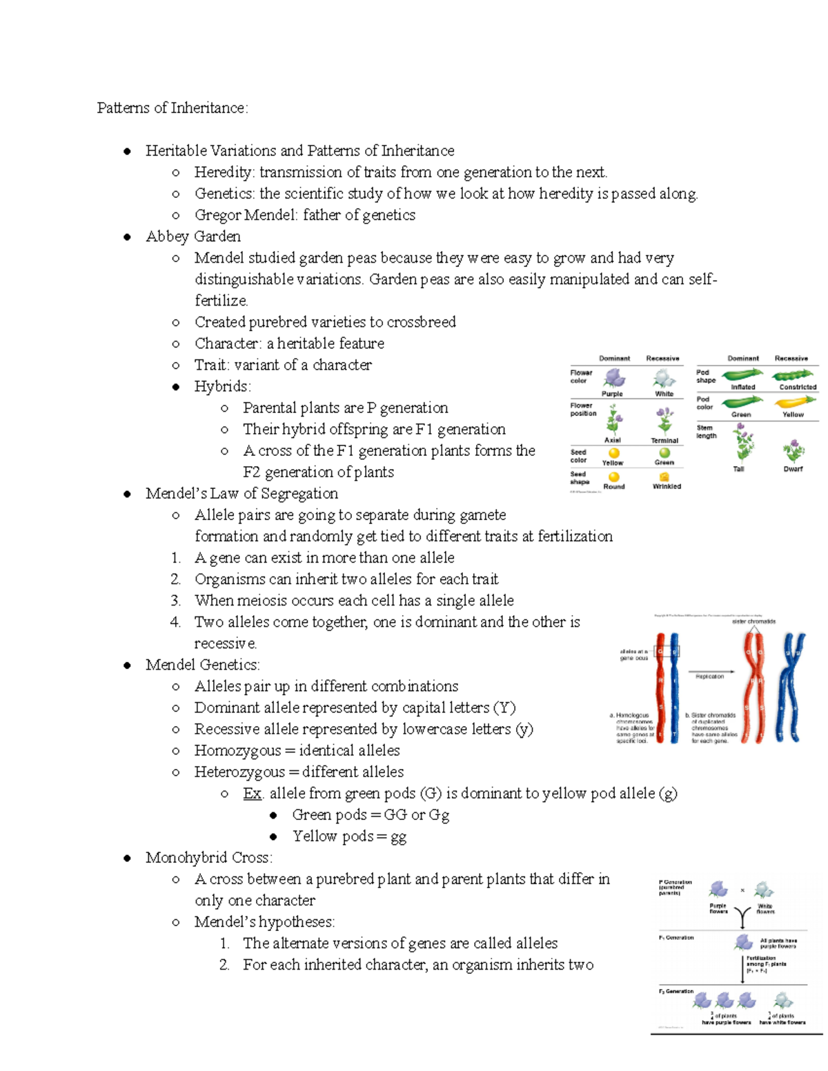 Patterns of Inheritance - Genetics: the scientific study of how we look at how heredity is ...