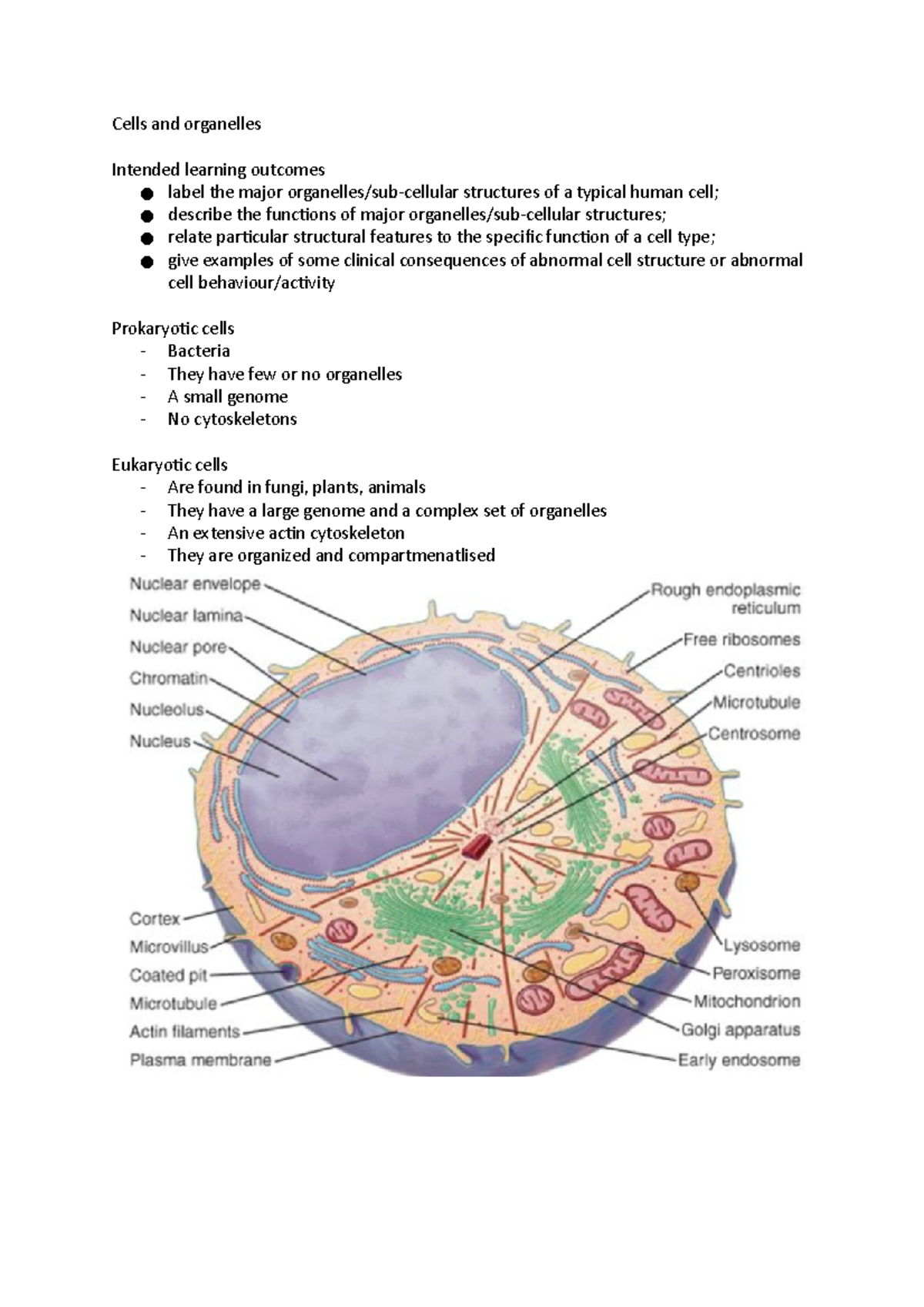 Cells and organelles - Cells and organelles Intended learning outcomes ...