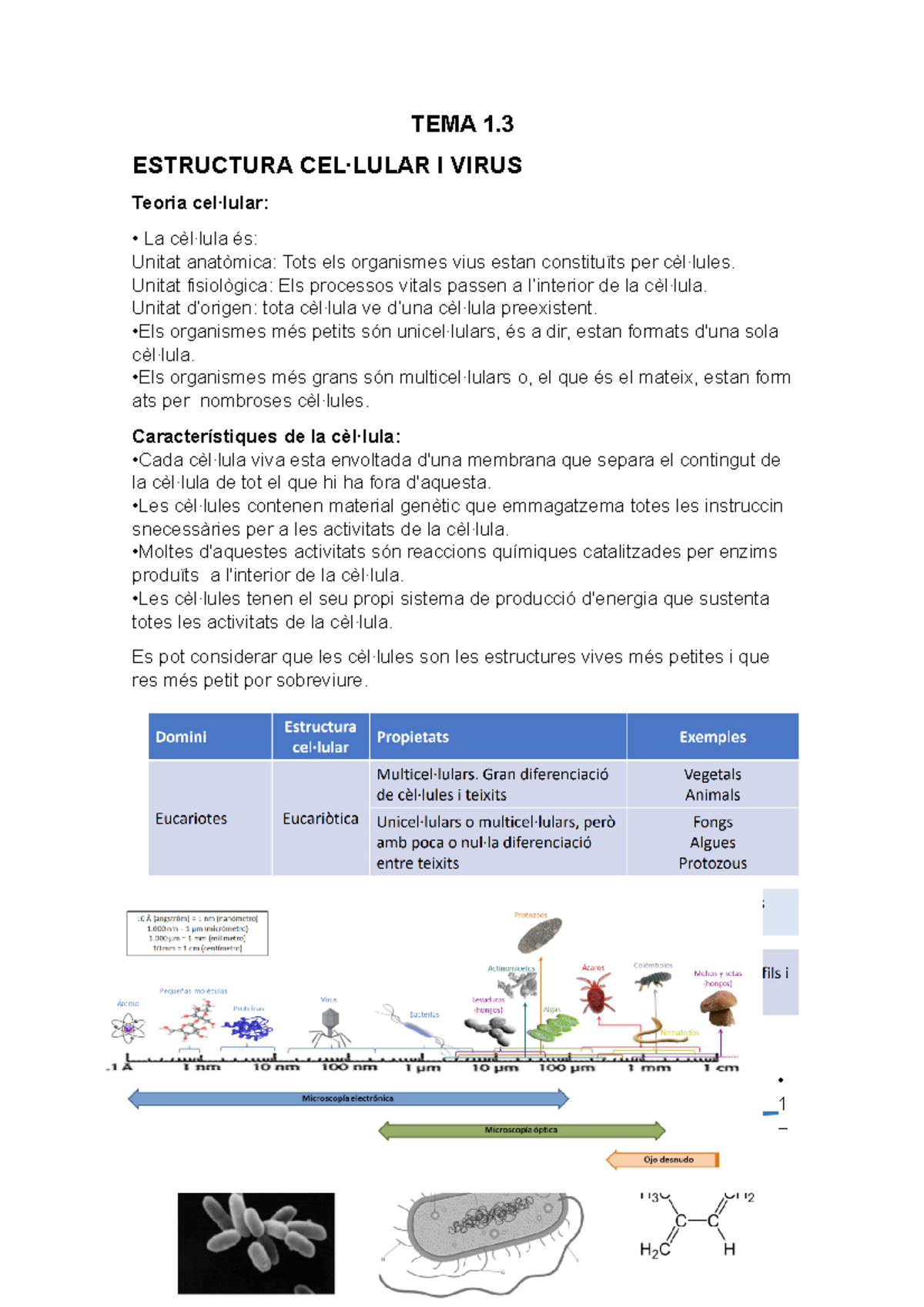 Tema 1 - TEORIA CELULAR - TEMA 1. ESTRUCTURA CEL∙LULAR I VIRUS Teoria cel∙lular: La cèl∙lula és ...
