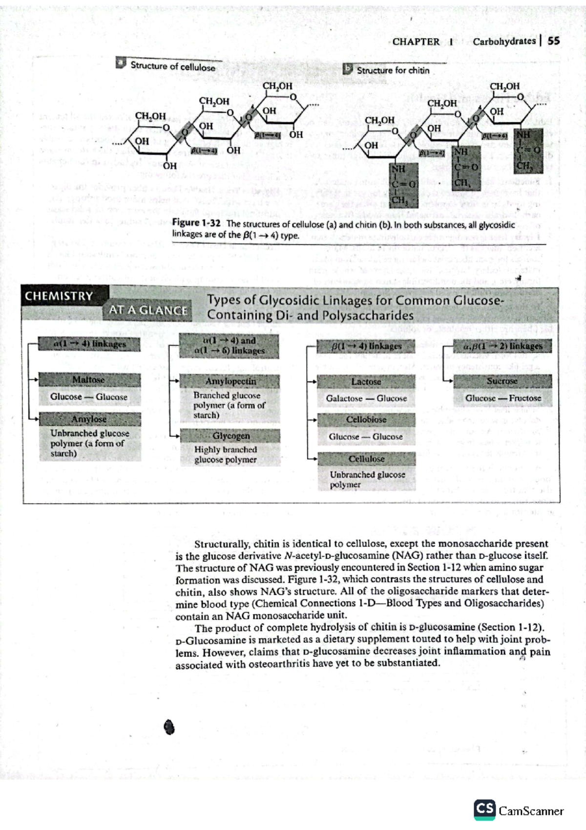 Biochem-CARB - Lecture - Bachelor of Science in Nursing - Studocu