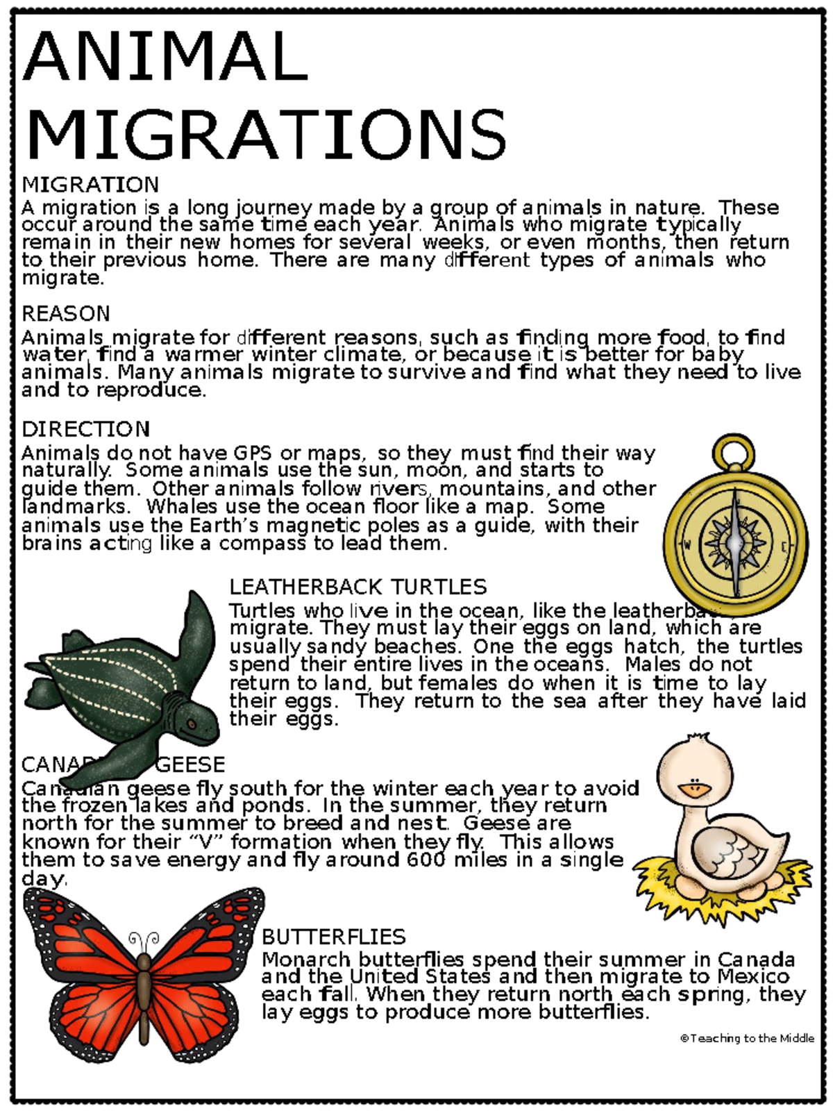 Migrations - ANIMAL M IGR AT I O N S MIGRATION A migration is a long ...