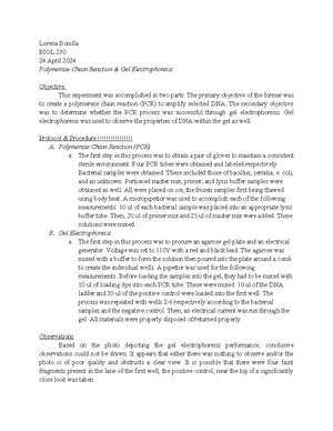 BIOL 230 Lab Write Up Comparison of Plant and Animal Cells - Lorena ...