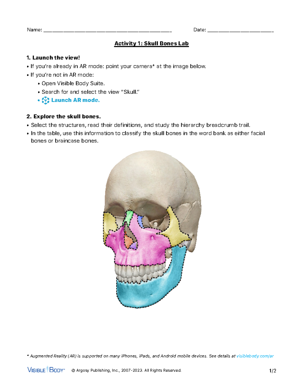 Lab manual skull bones english student fill in - © Argosy Publishing ...