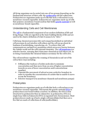 Tissue Definition - Tissue Definition Tissues are groups of cells that ...