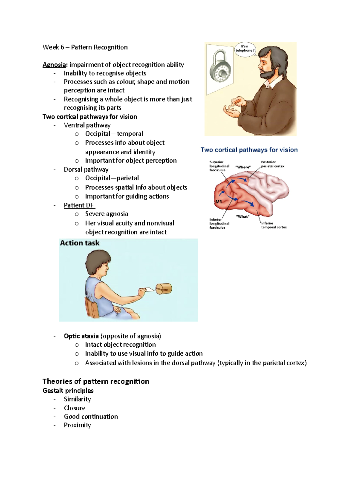 Week 6 Pattern Recognition - Week 6 – Pattern Recognition Agnosia ...