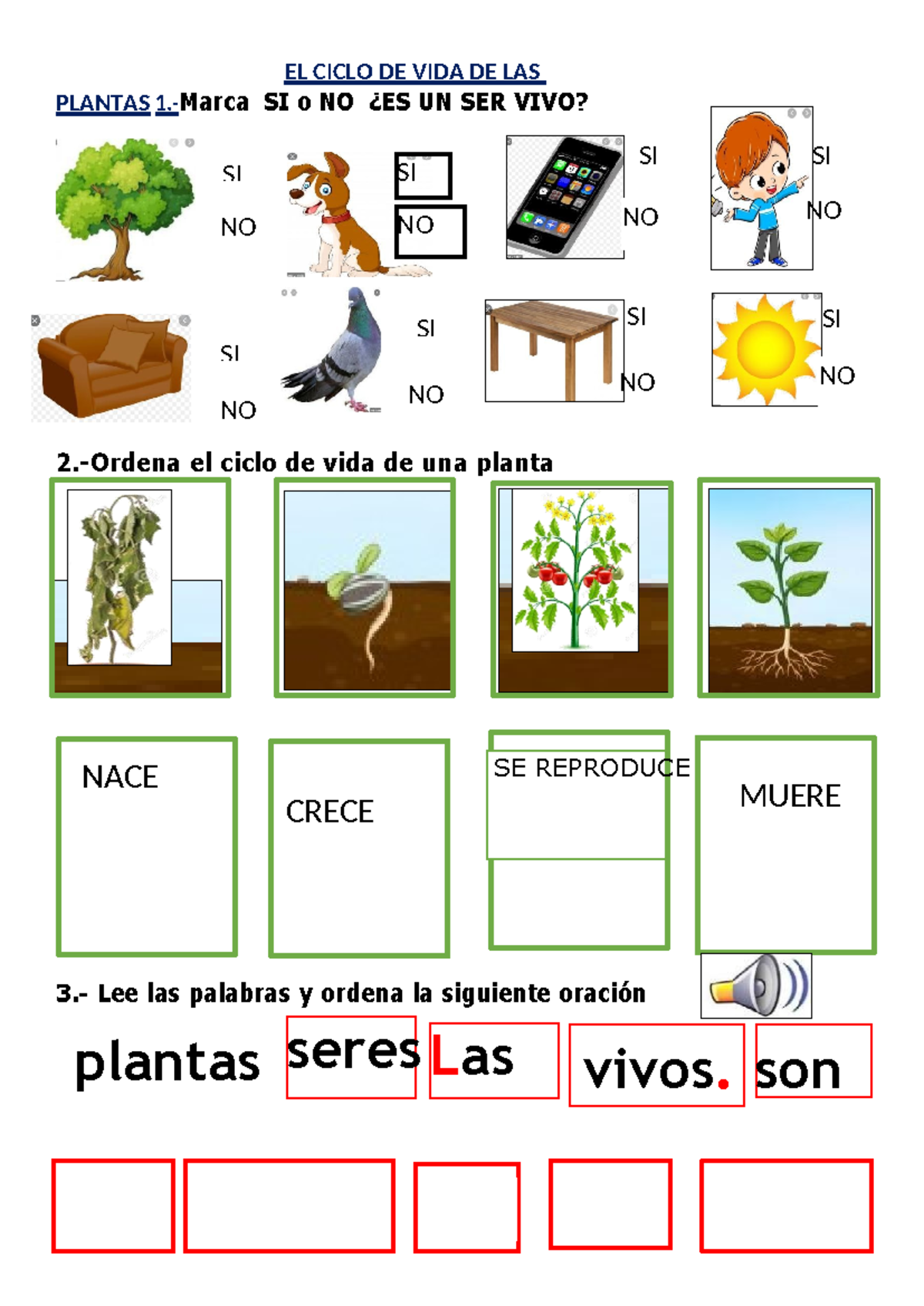 Ciclo De Vida De Las Plantas Ciencia De Materiales I La Planta So