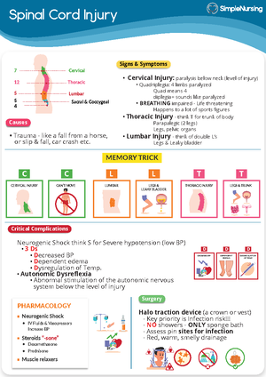 Multiple Sclerosis Notes - Didactic Concept Map Medical Diagnosis ...