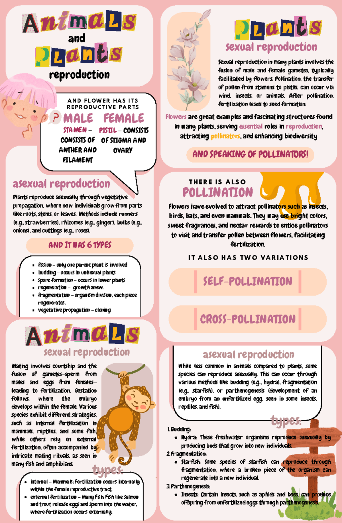 Plants and Animals Reproduction - reproduction and T H E R E I S A L S ...