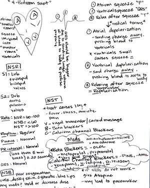 EKG Practice Handout - ECG PRACTICE Strip 1 Regular or irregular: Rate ...