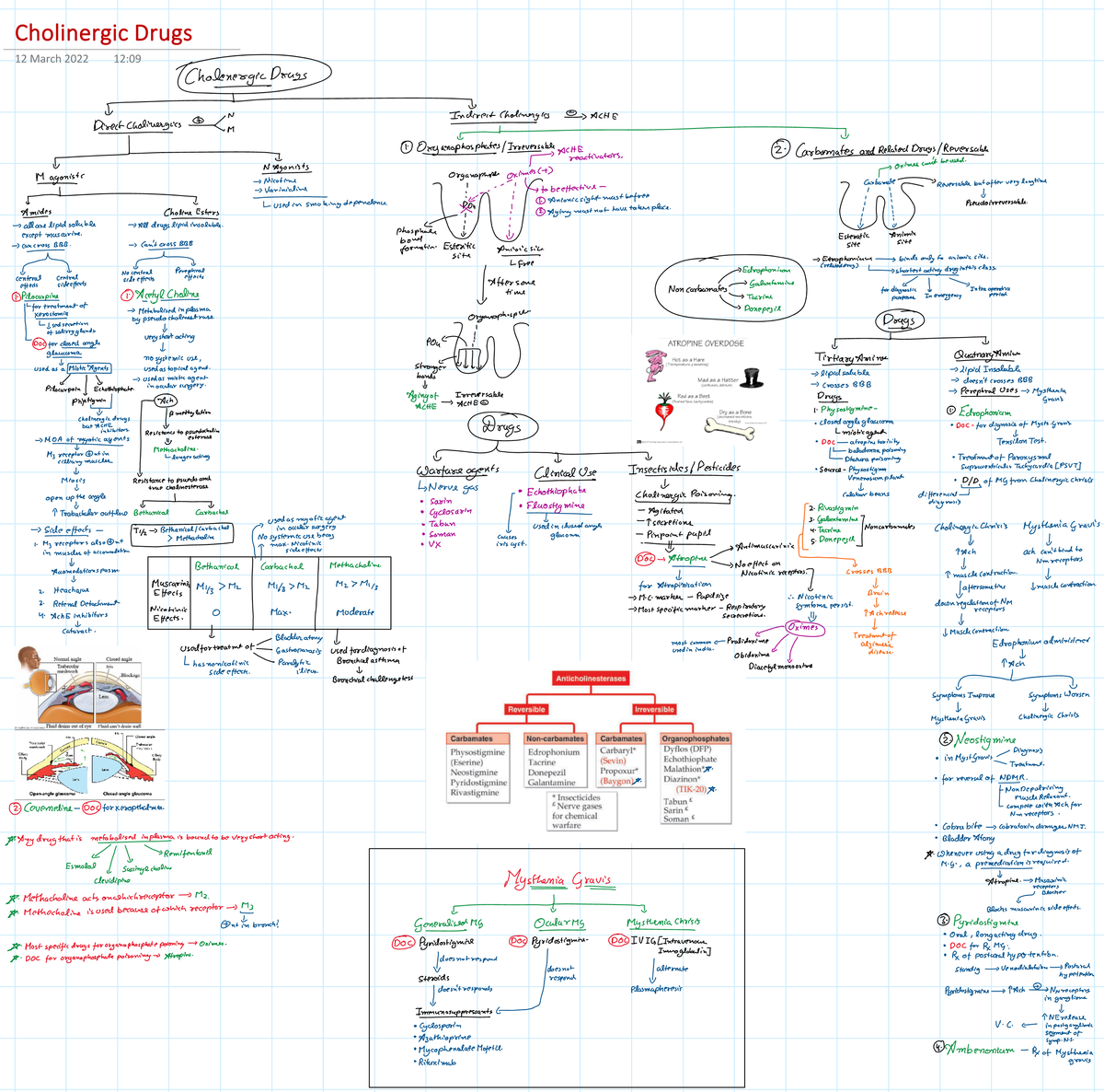 Cholinergic Drugs-1 - Summary Community Medicine - Studocu