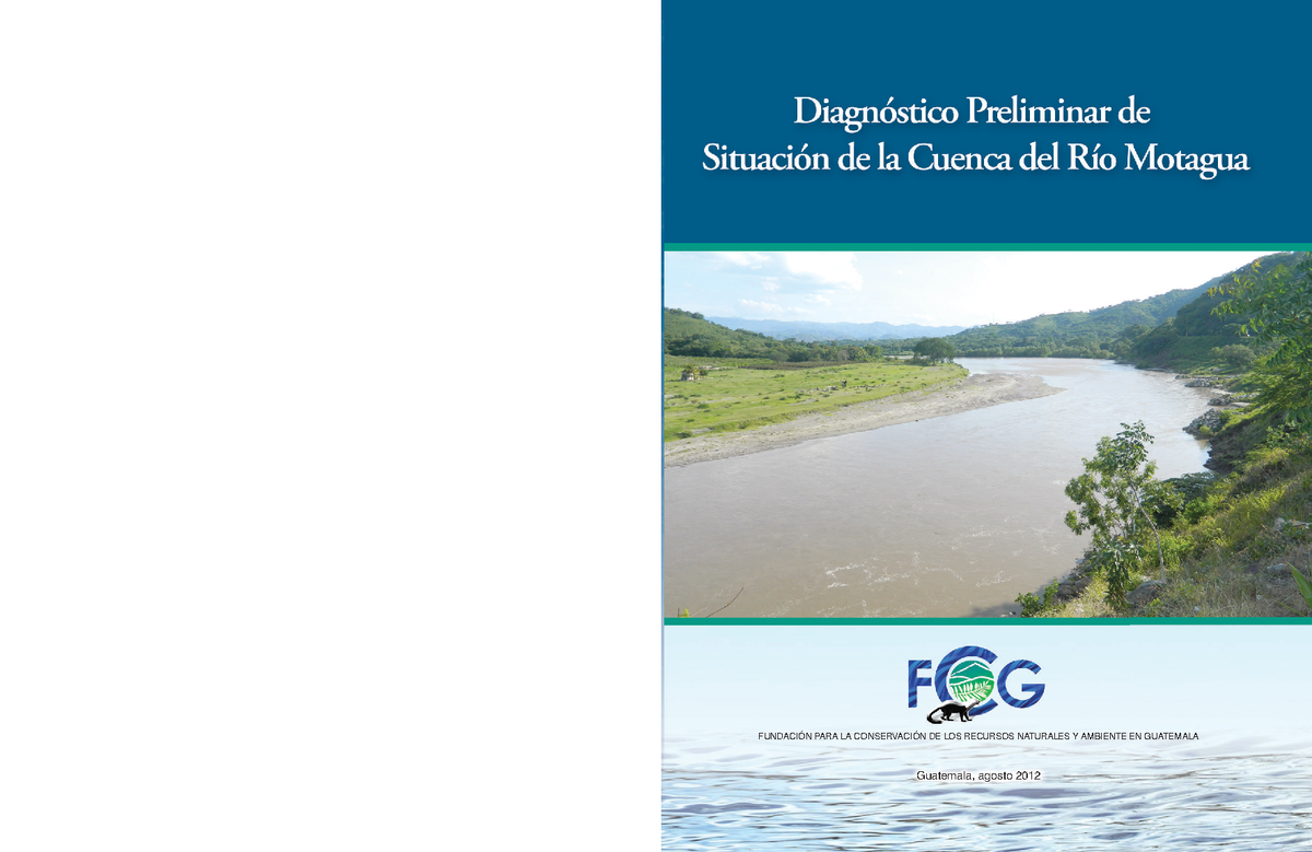 Diagnostico Preliminar De Situacion De La Cuenca Del Rio Motagua ...