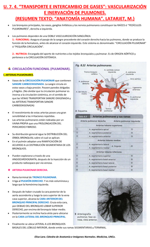 Espacio semilunar de traube - REVISTA DE LA FACULTAD DE MEDICINA - Studocu