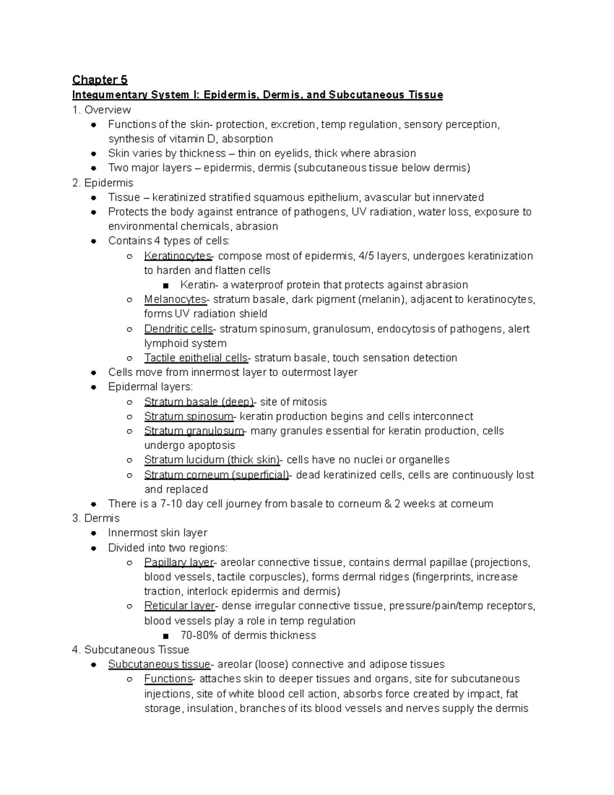 HHP 1400 Unit 2 Notes - Chapter 5 Integumentary System I: Epidermis ...