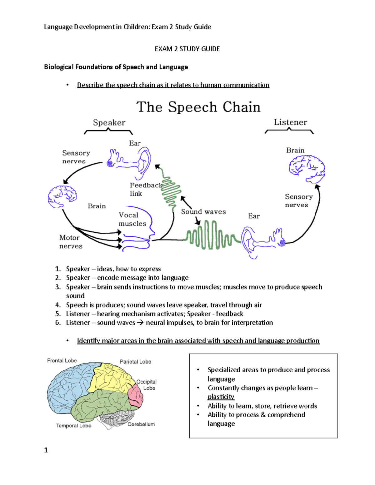 Exam 2 Study Guide - EXAM 2 STUDY GUIDE Biological Foundations of ...