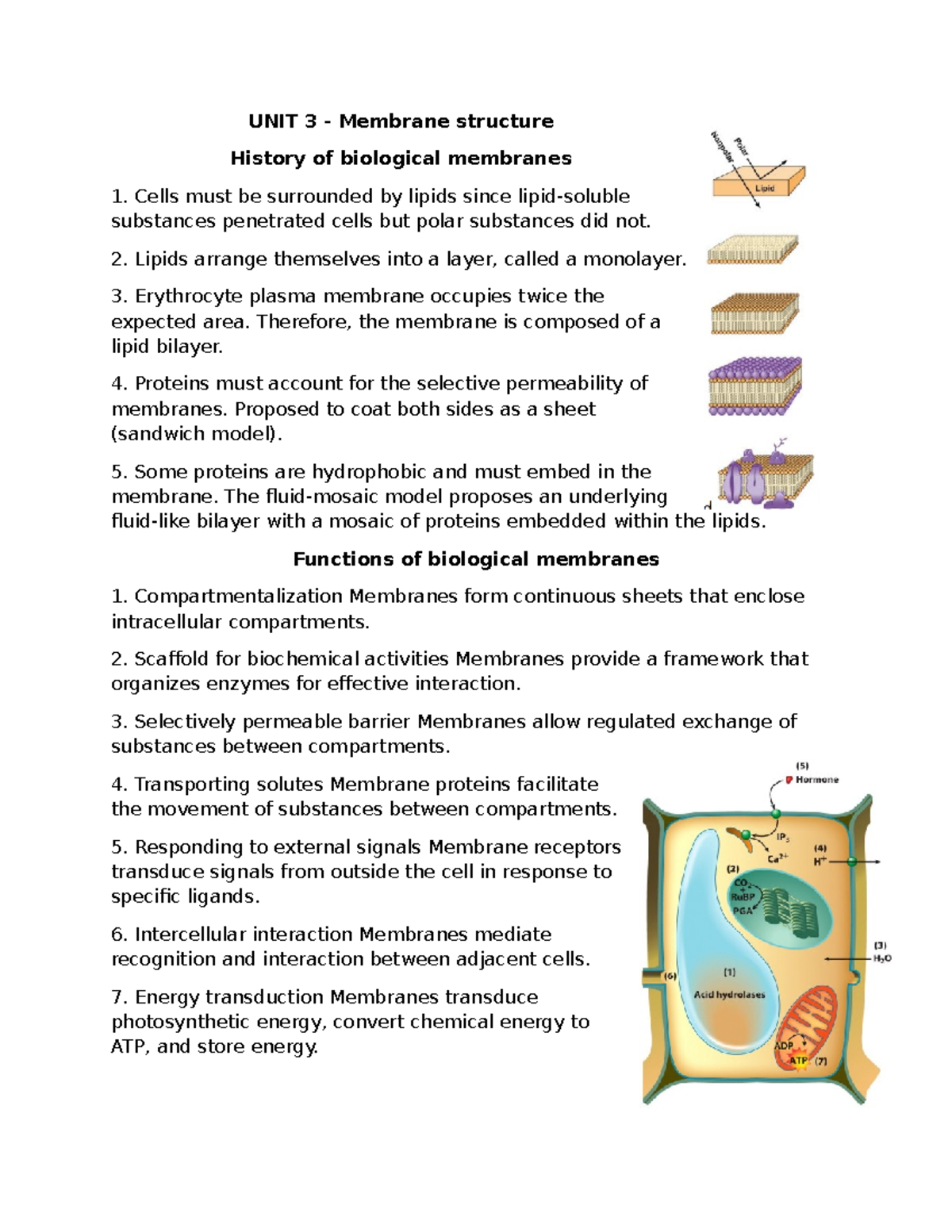 My notes - summary Unit 3 - UNIT 3 - Membrane structure History of ...