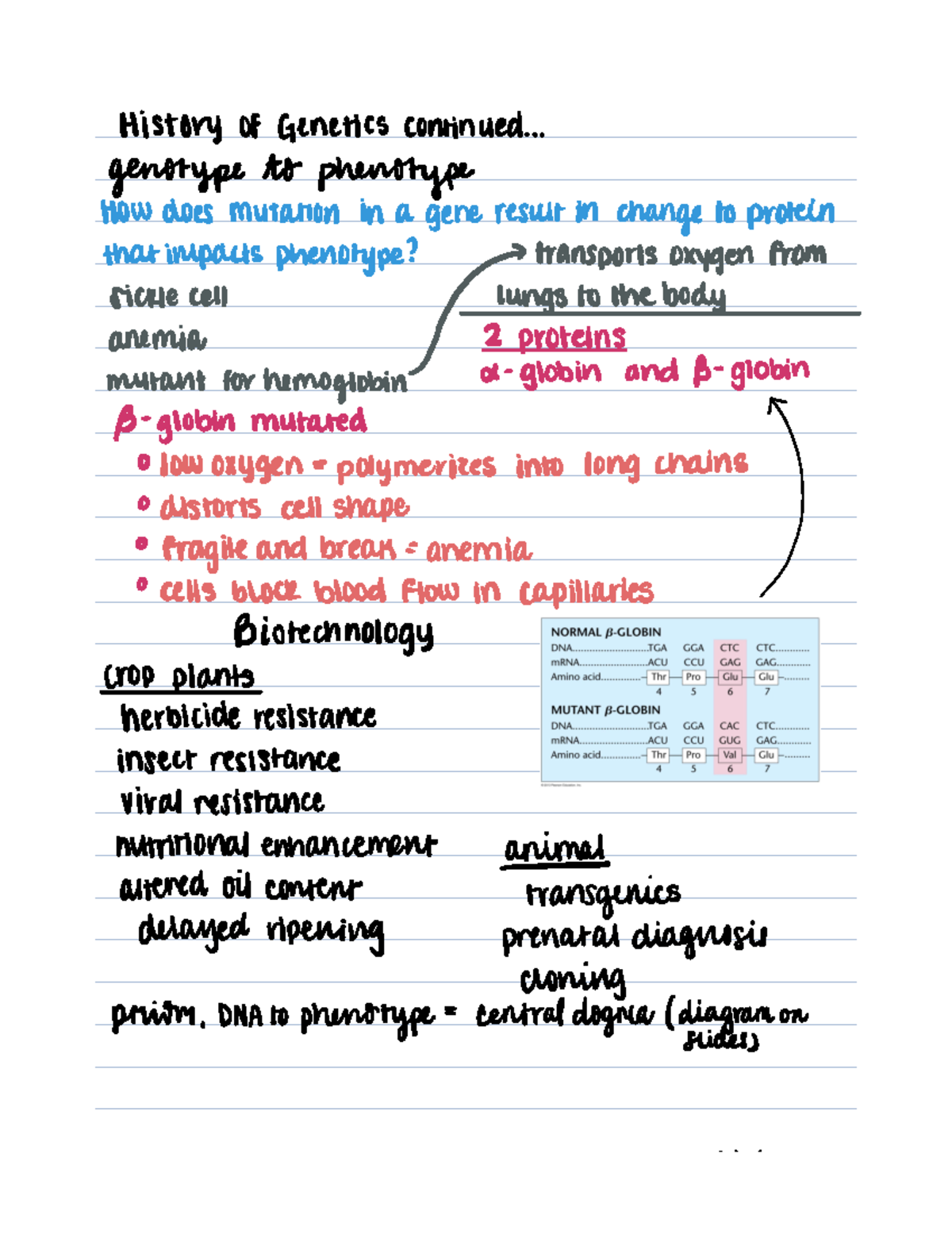 Note Aug 23, 2022 - Lecture notes on first chapter, History of ...