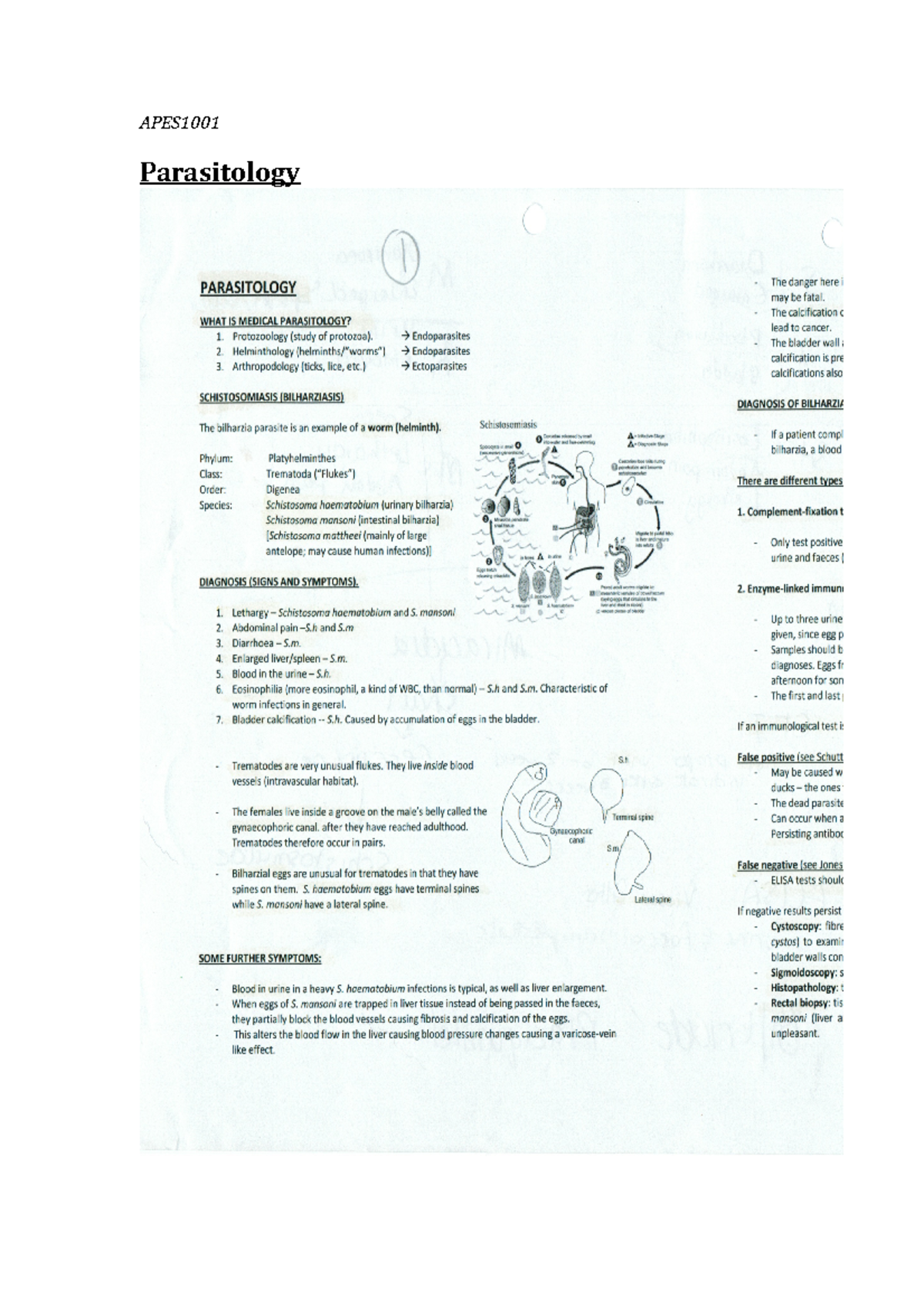 APES1001 Lecture Notes Block 4 summary - APES Parasitology Hand-outs ...