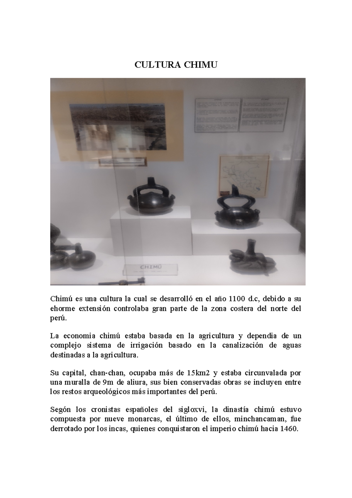 Visita al museo - Resumen Análisis Estructural - CULTURA CHIMU Chimú es ...