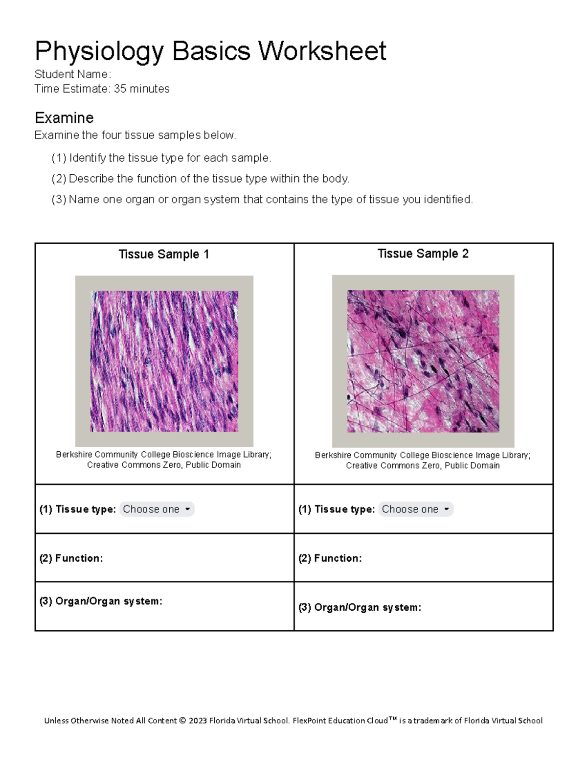 Copy of 103 Physiology Basics Worksheet - Physiology Basics Worksheet Student Name: Time ...