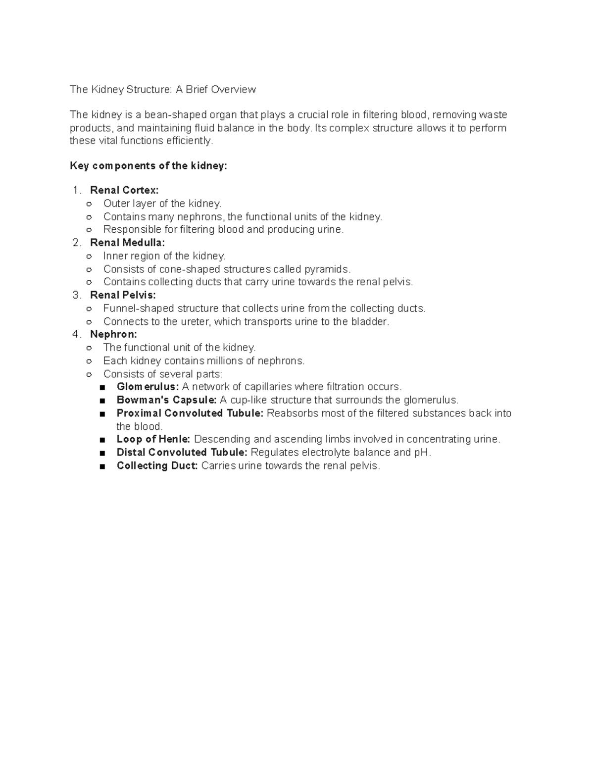 The kidney structure - The Kidney Structure: A Brief Overview The ...