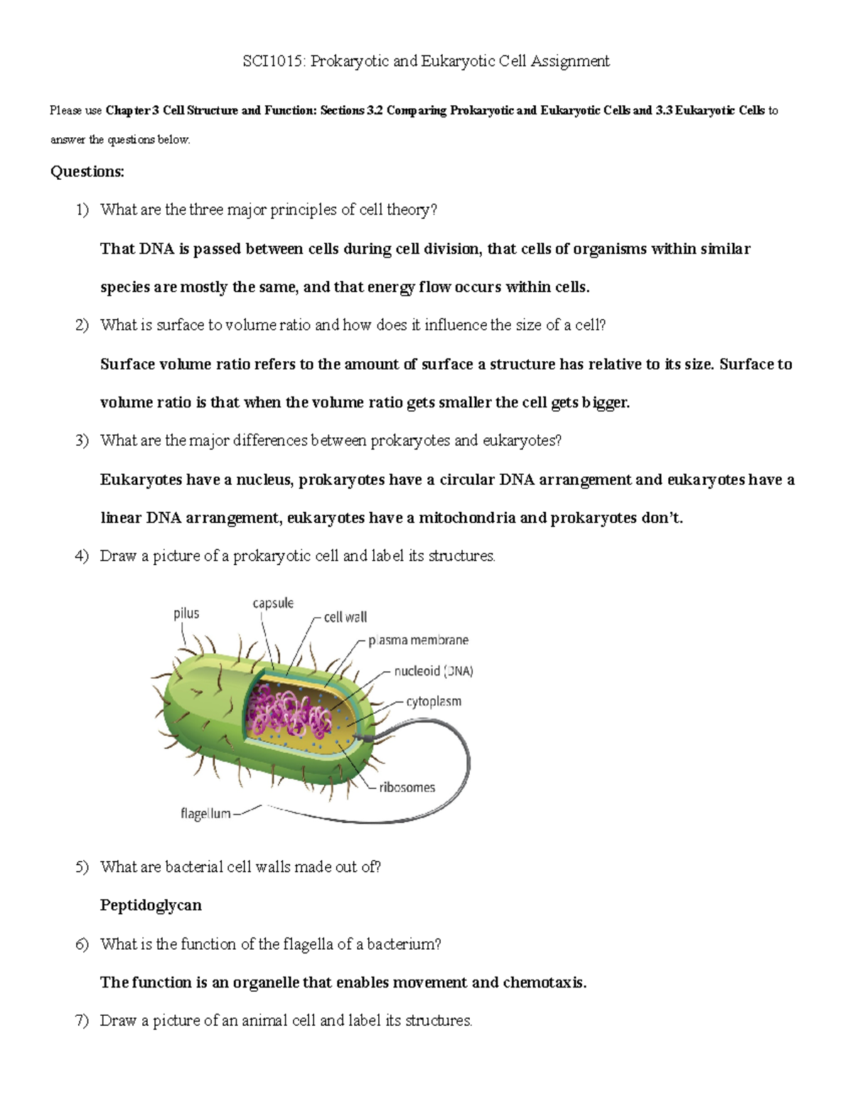SCI1015 Prokaryotic and Eukaryotic Cell Assignment - Questions: 1) What are the three major ...