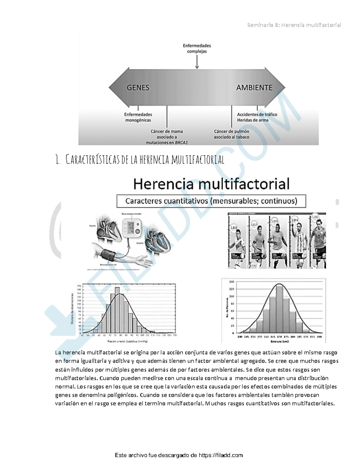 Seminario 8 genetica - 1. Características de la herencia multifactorial ...