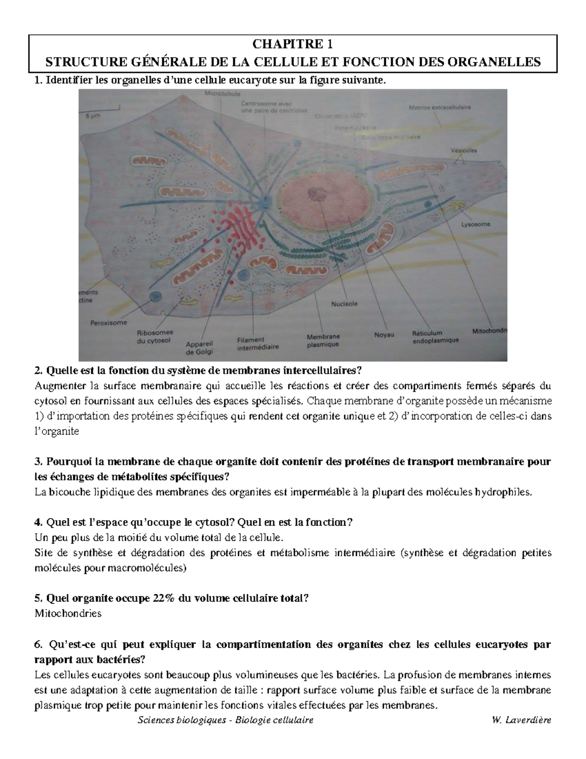 Sciences biologiques - Biologie cellulaire - CHAPITRE 1 STRUCTURE ...
