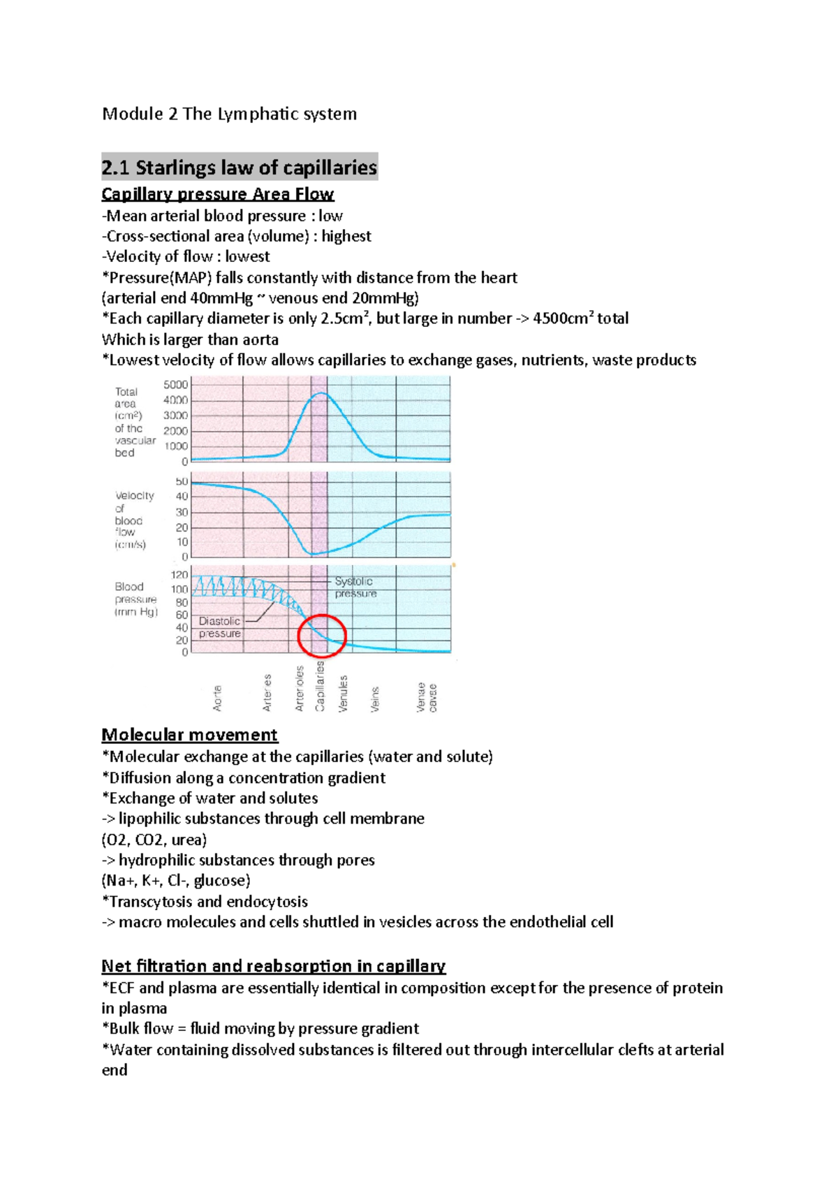 Module 2 The Lymphatic system - 1017MSC - Griffith - Studocu