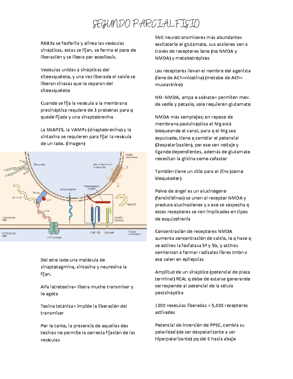 Apuntes Segundo Parcial Warning Tt Undefined Function 32 Warning Tt Undefined Function