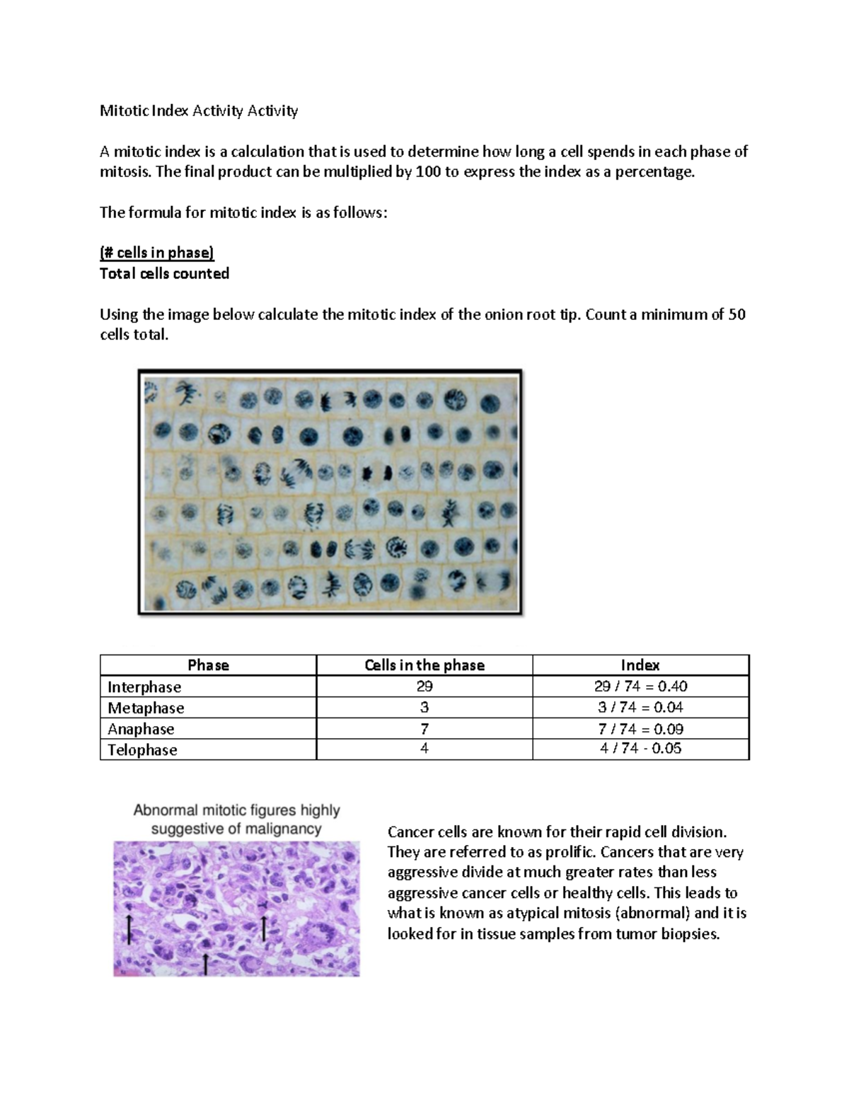 Mitotic Index Activity Activity - The final product can be multiplied ...